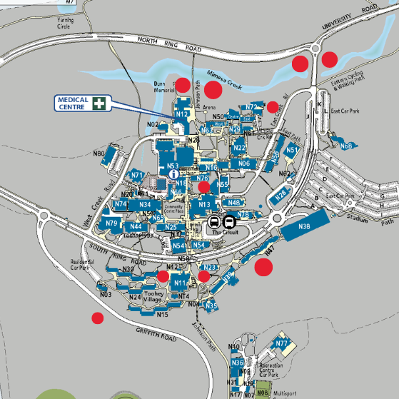 A guide to koalas at Griffith - Explore